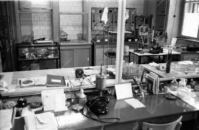 Conservation and Restoration